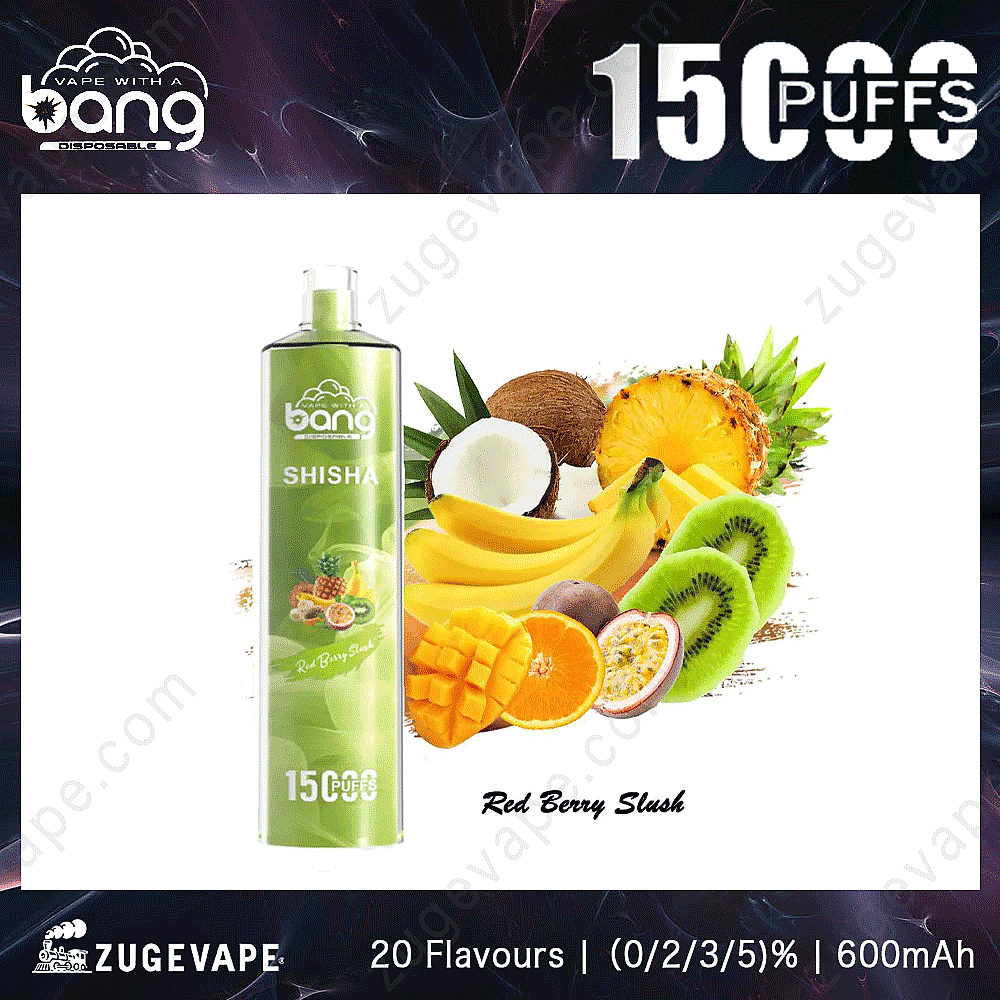 Bang Shisha 15000 Puffs DTL 15K Disposable Vape - ZugeVape