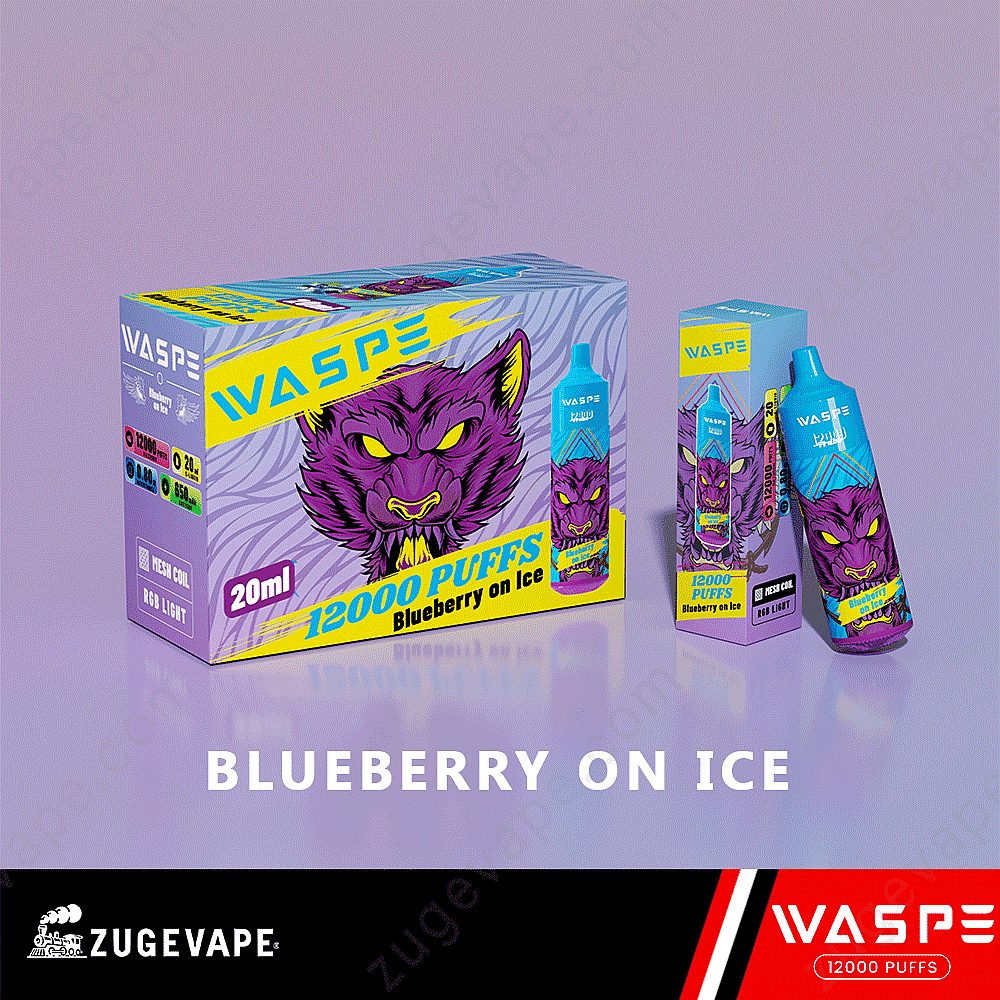 WASPE 12000 Puffs 12K Einweg-Vape 4 Nikotinoptionen - ZugeVape