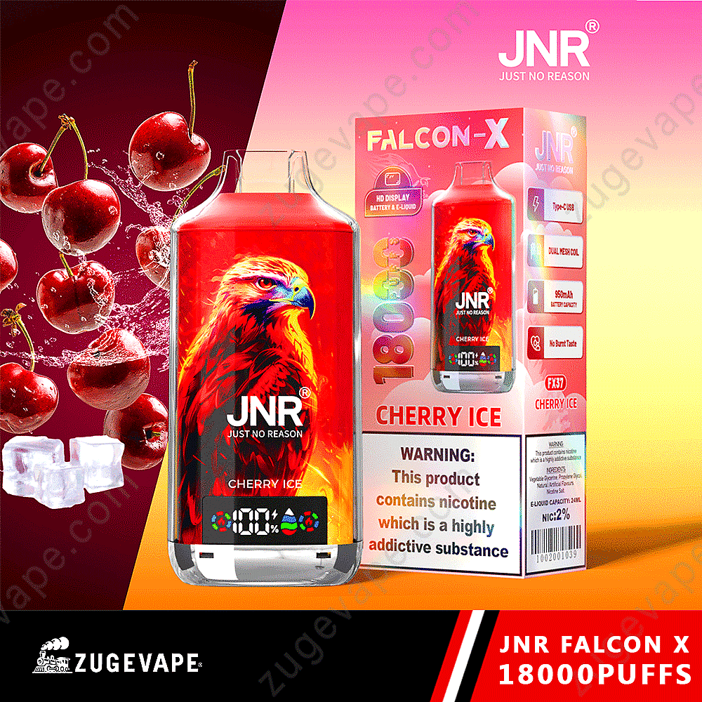 JNR Falcon-X 18000 Puffs Véritable Vape Jetable 18K - Disponible ...