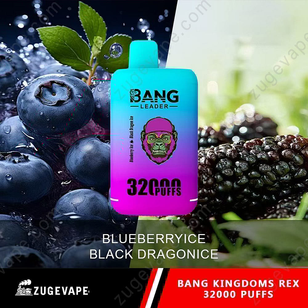 Bang Leader (Kingdoms Rex) 32000 Puffs Double Flavor Vape - ZugeVape