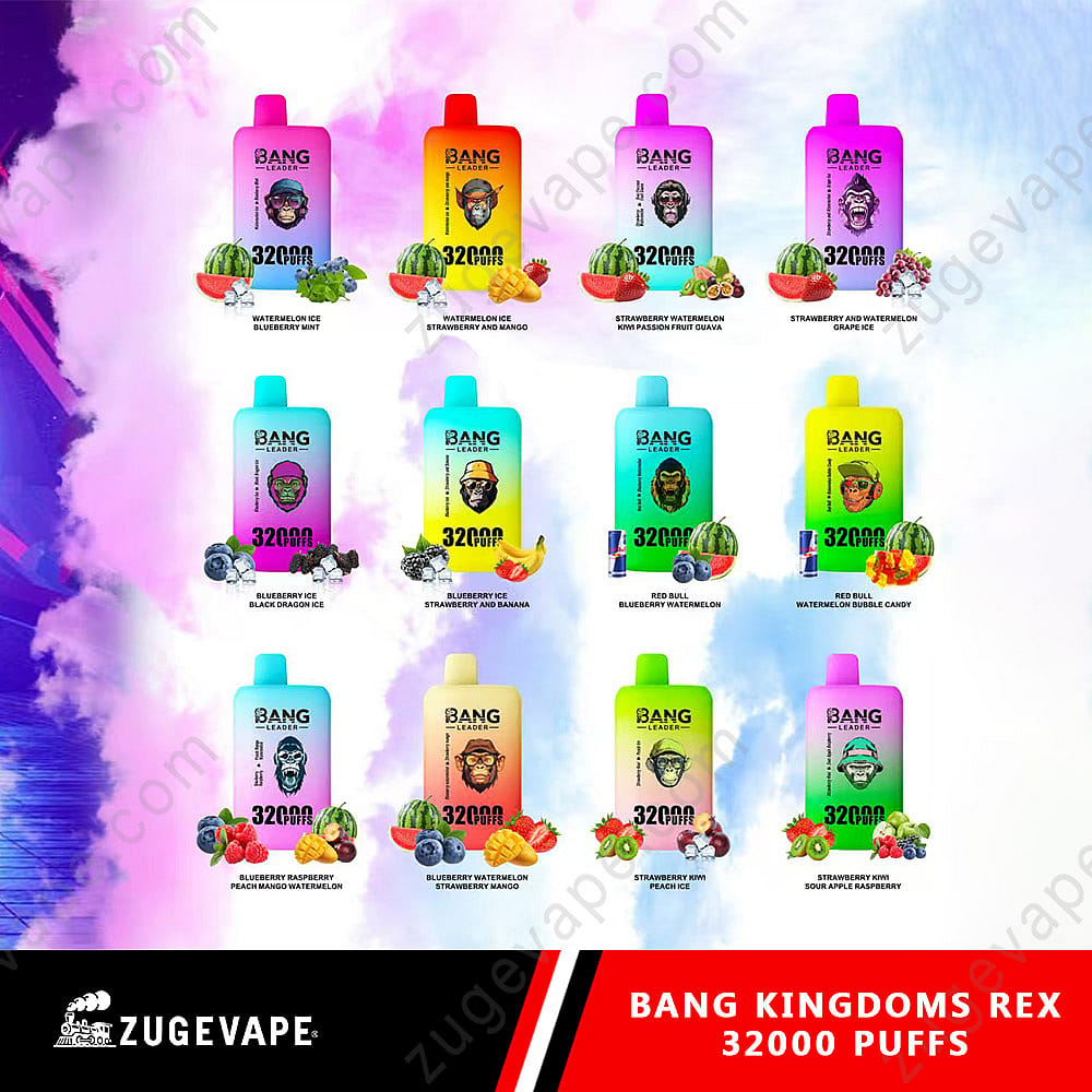Bang Leader (Kingdoms Rex) 32000 Puffs Double Flavor Vape - ZugeVape