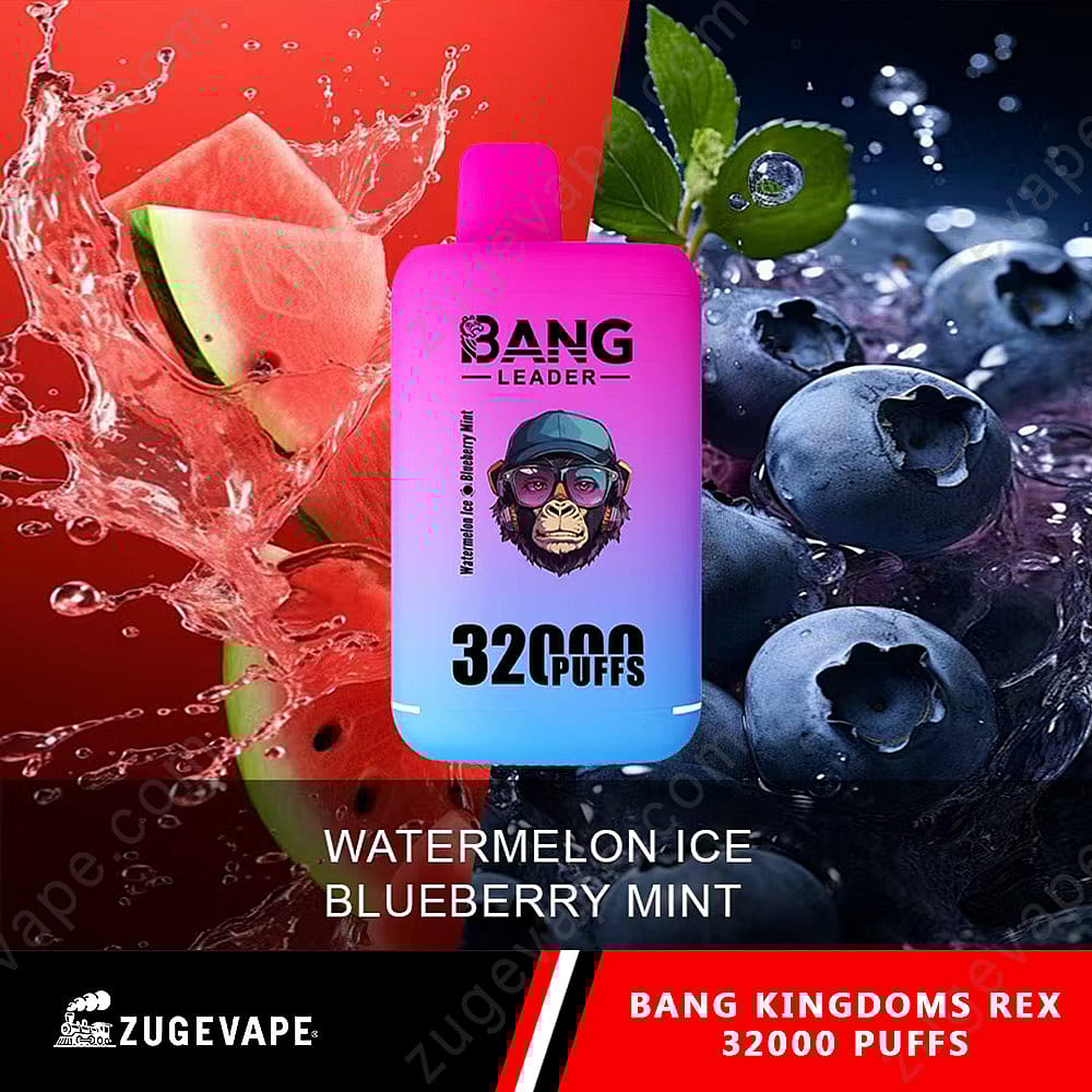 Bang Leader (Kingdoms Rex) 32000 bocanadas Vape de doble sabor - ZugeVape