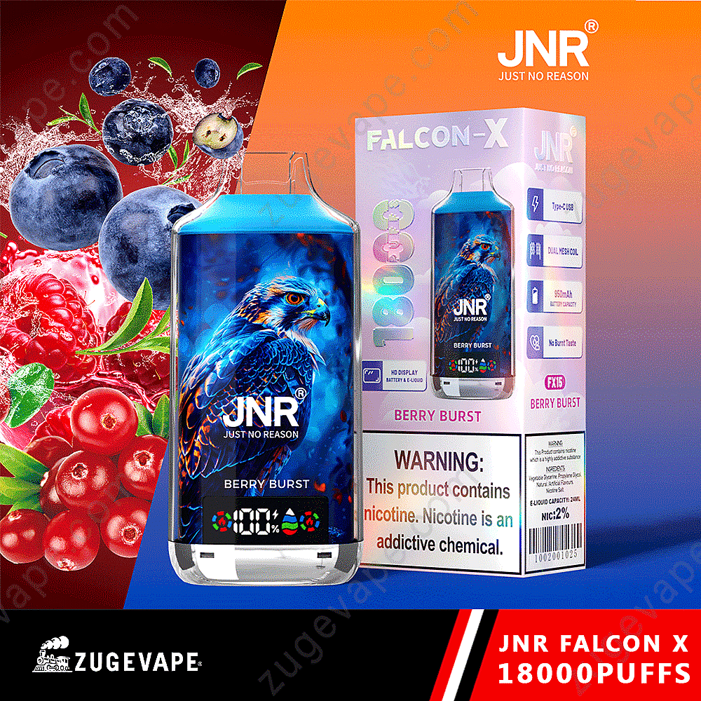 JNR Falcon-X 18000 Puffs Véritable Vape Jetable 18K - Disponible ...