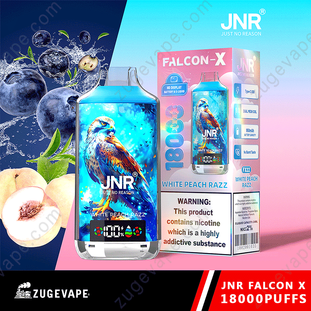 JNR Falcon-X 18000 Puffs Véritable Vape Jetable 18K - Disponible ...