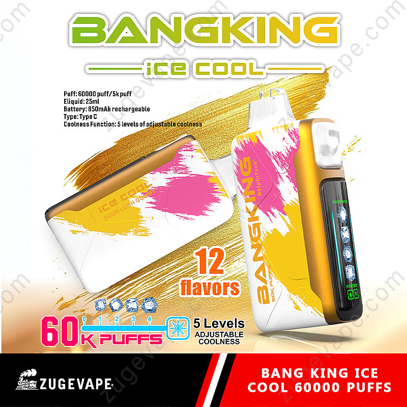 Bang King Ice Cool 60000 Puffs 60K Coldable réglable Vape jetable ...